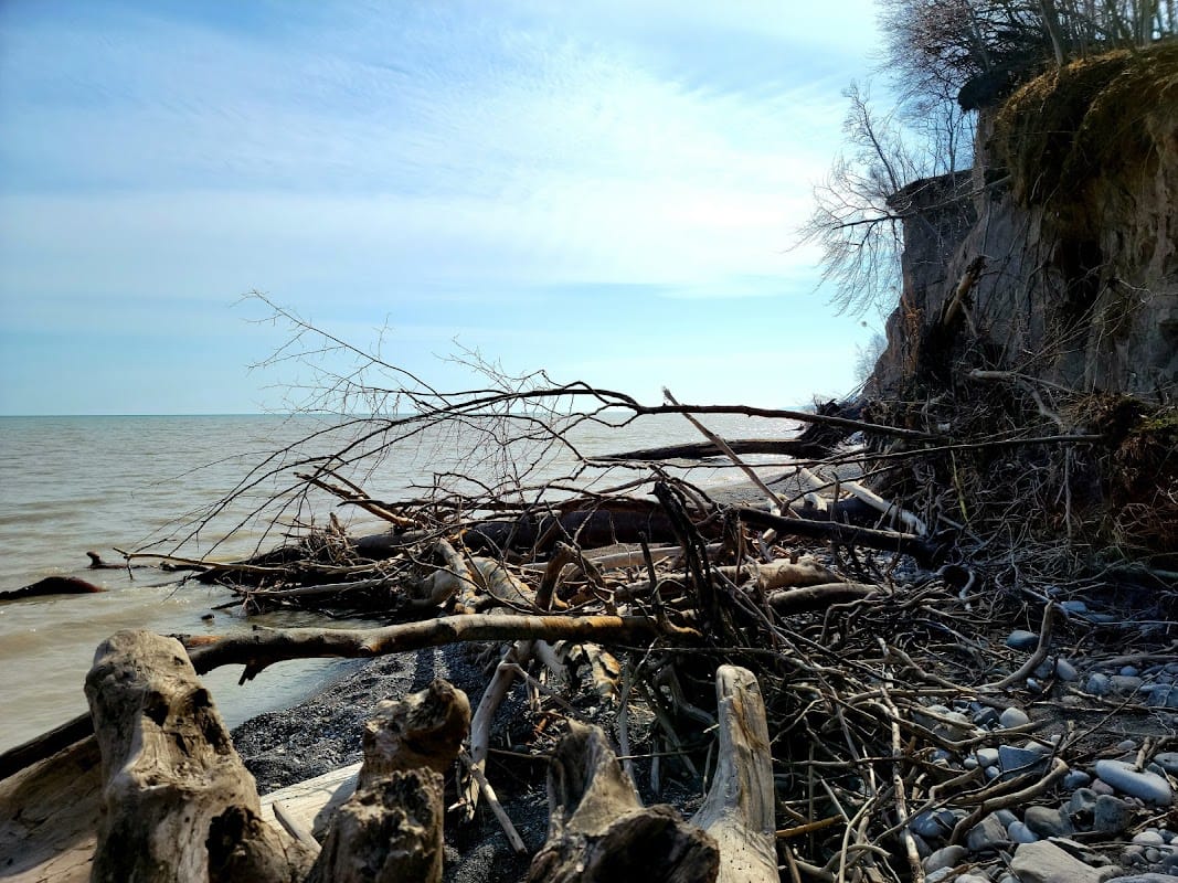 Warwick Conservation Area - RV Repository