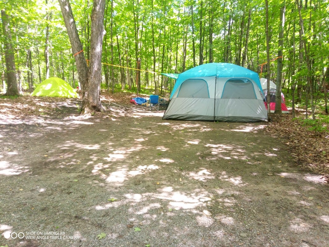 Fitzroy Provincial Park - Pine Grove Campground - RV Repository