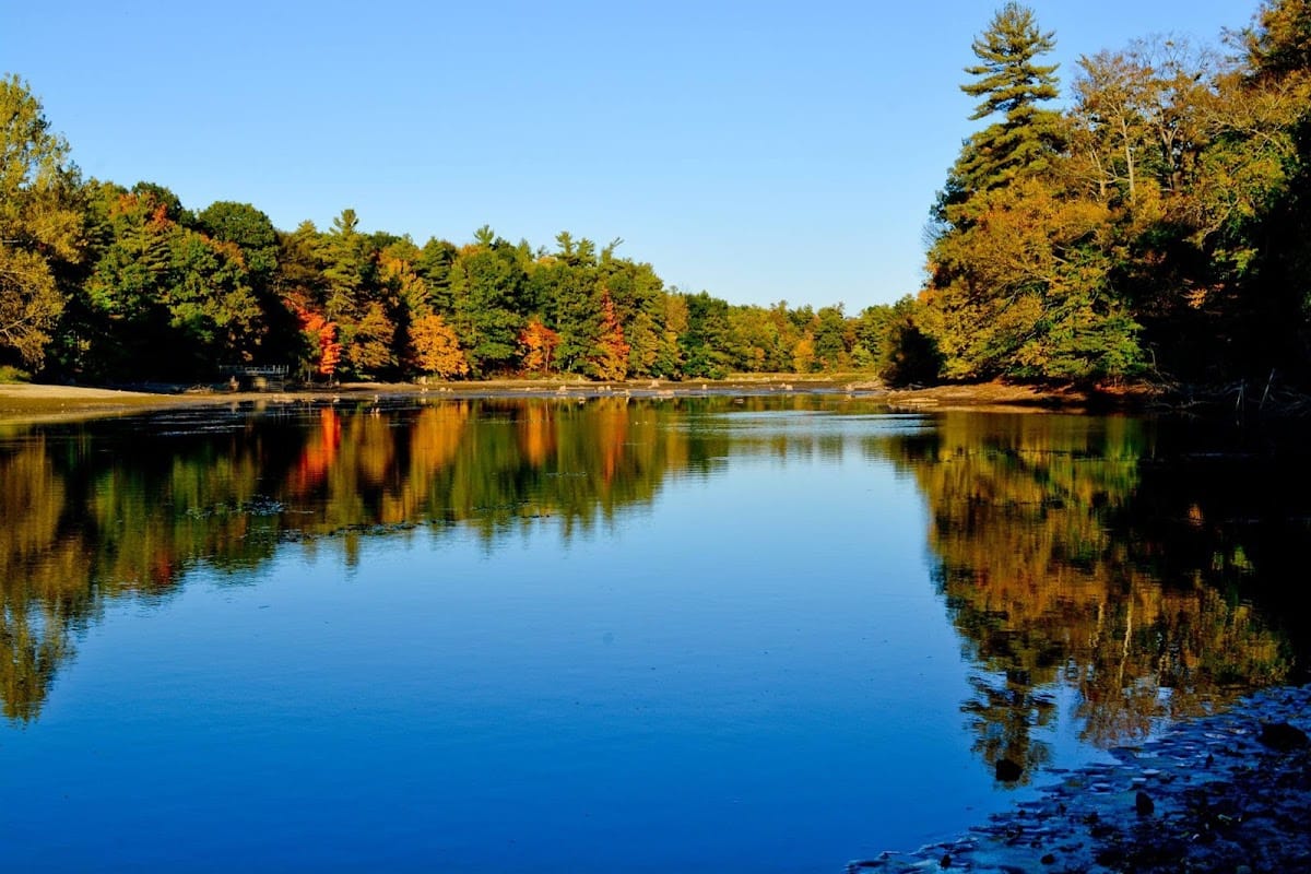 Springwater Conservation Area - RV Repository